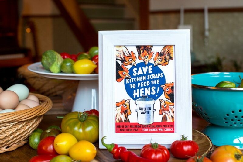 Save Kitchen Scraps to Feed the Hens Greeting Card - 5x7 Framable Card ...
