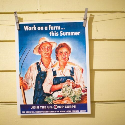 Work on a Farm this Summer - Vintage Poster Reproduction – Authentic ...