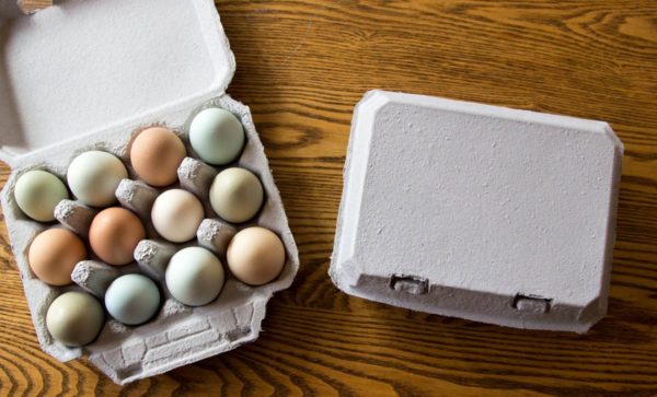 10 Vintage Egg Cartons - Vintage Style Full Dozen - Blank Top - Carton ...