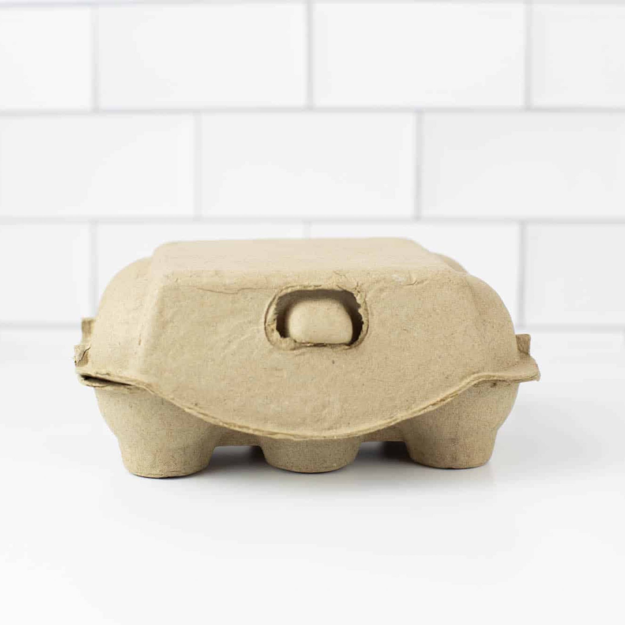 Blue Flat-Top Dozen Egg Cartons (Pack of 10) – Authentic Heirlooms